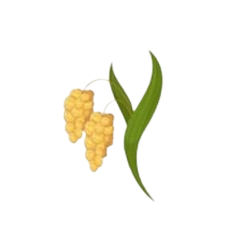 Crops-DB: a comprehensive Crops phenotype and gene database